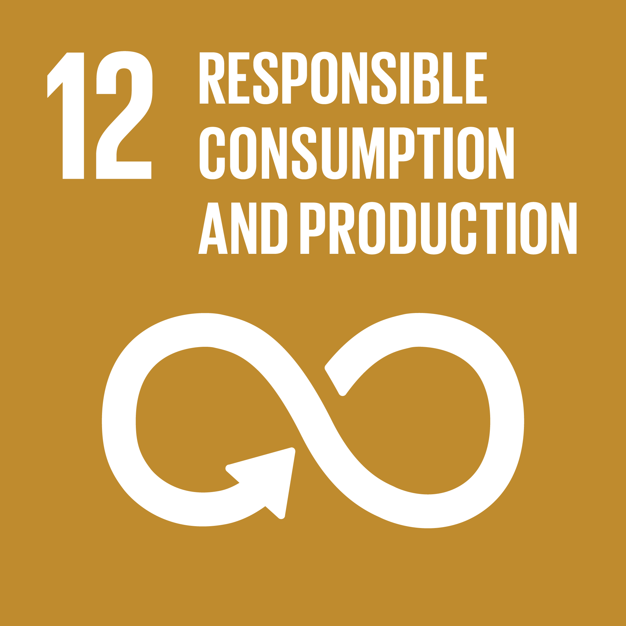 Goal 12 Responsible Consumption And Production